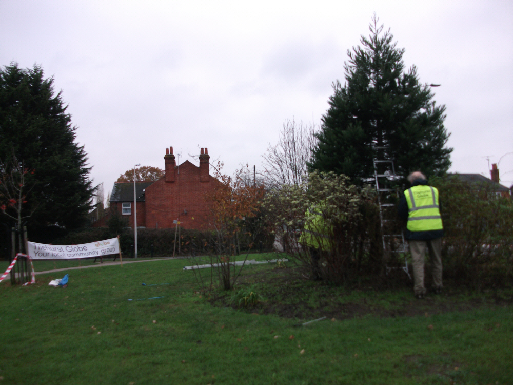 Events, Tilehurst Globe, Tilehurst, Triangle, Planting, Water Trough ...