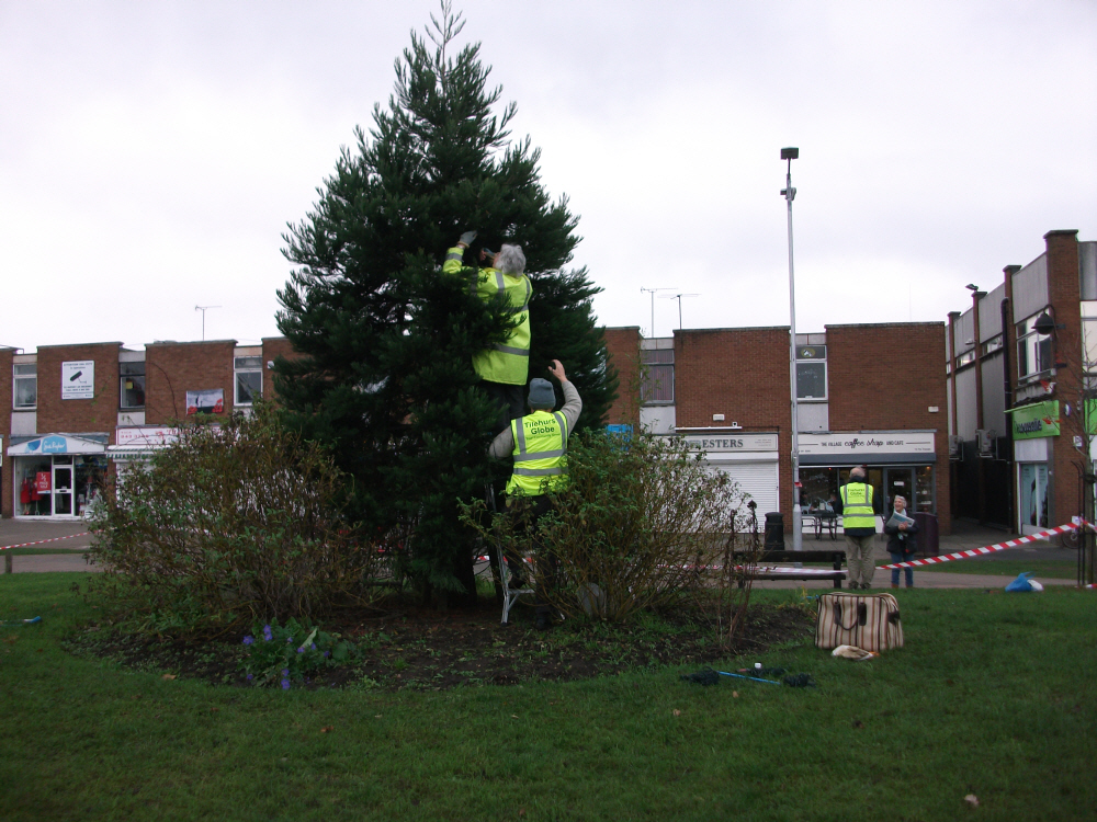 Events, Tilehurst Globe, Tilehurst, Triangle, Planting, Water Trough ...