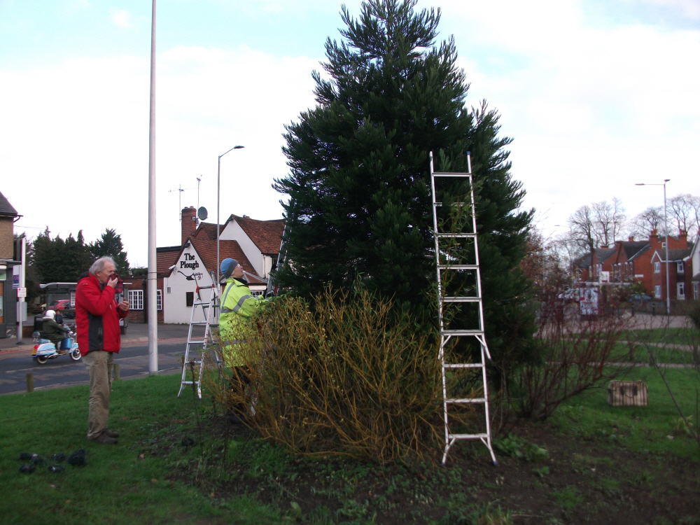 Events, Tilehurst Globe, Tilehurst, Triangle, Planting, Water Trough ...